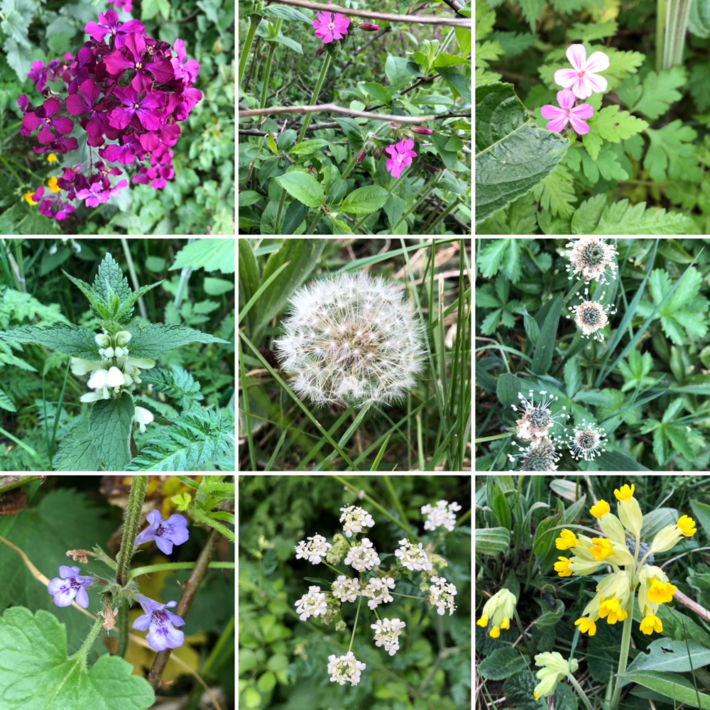 Nature Trail Collections and Natural Sensory Play in a Tinker Tray ...