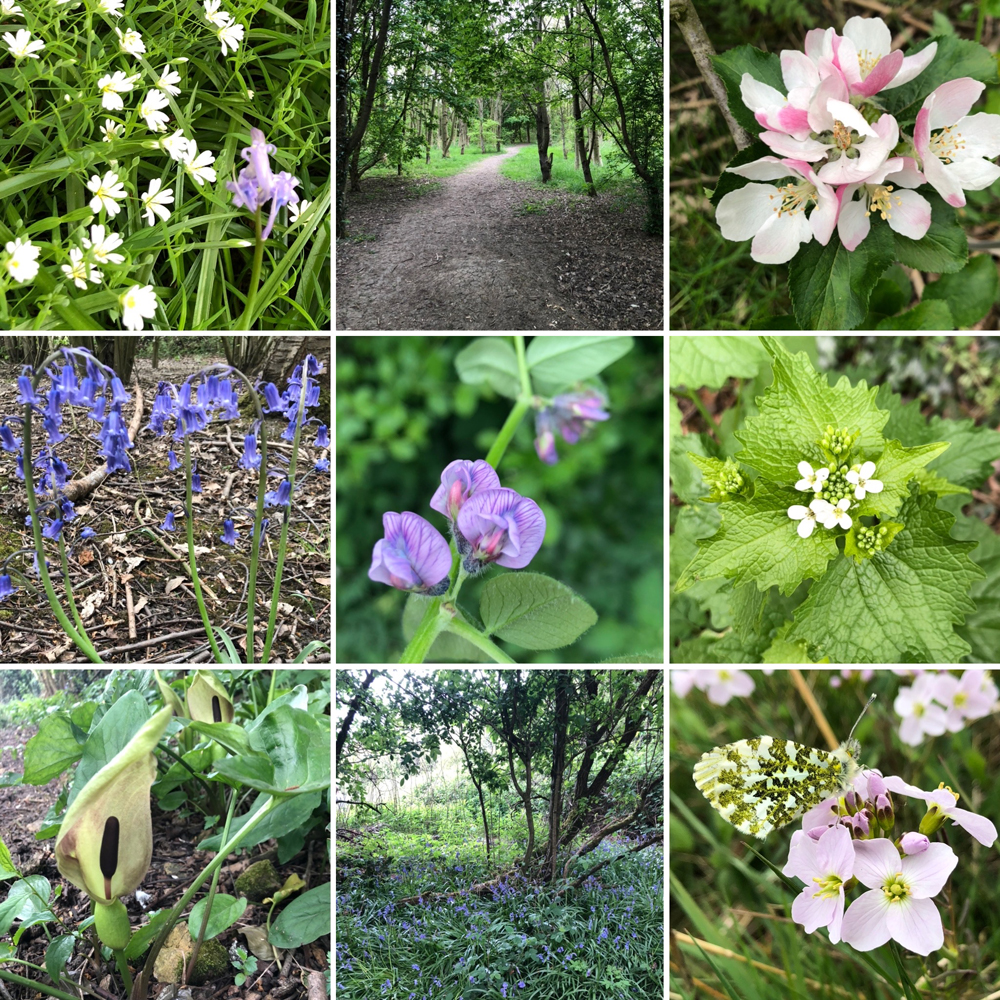 Nature Trail Collections and Natural Sensory Play in a Tinker Tray ...