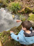Forest School fun and activities – check out what we have been up to ...