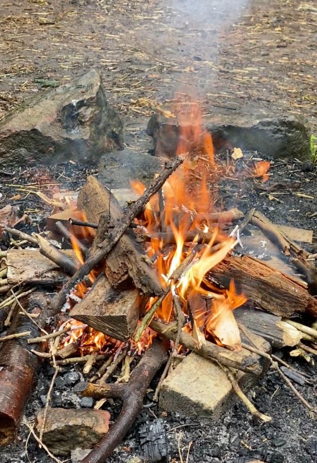 Forest School fun and activities – check out what we have been up to ...