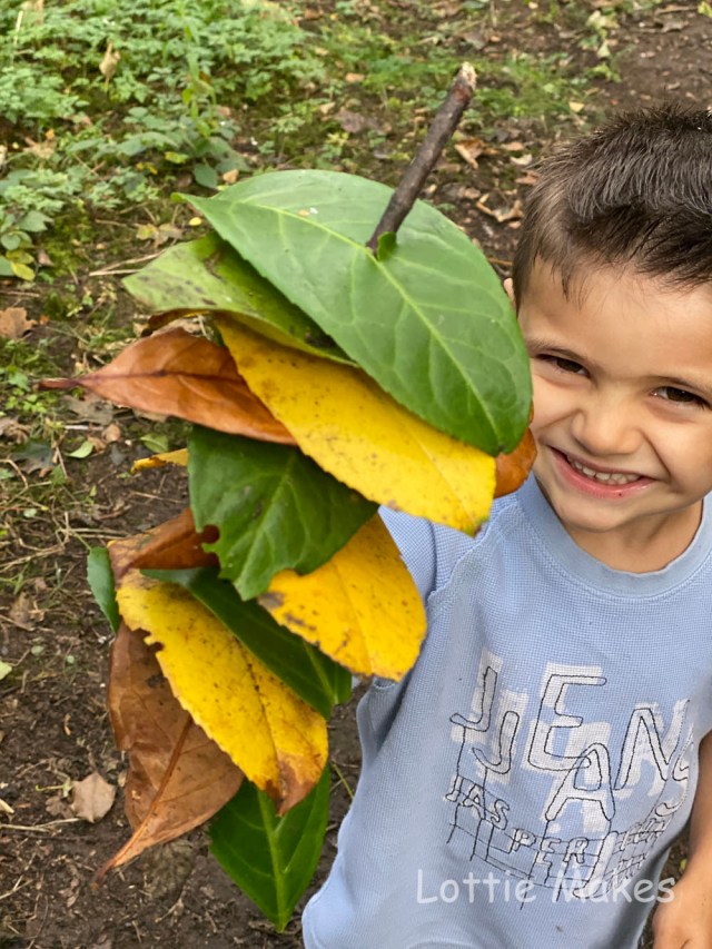 Forest School fun and activities – check out what we have been up to ...