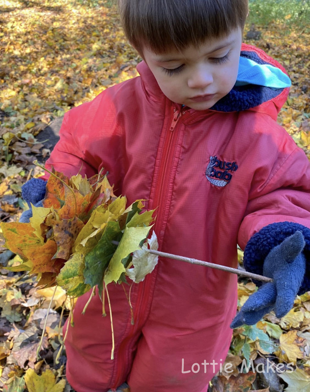 Forest School in the Early Years and Beyond – Lottie Makes
