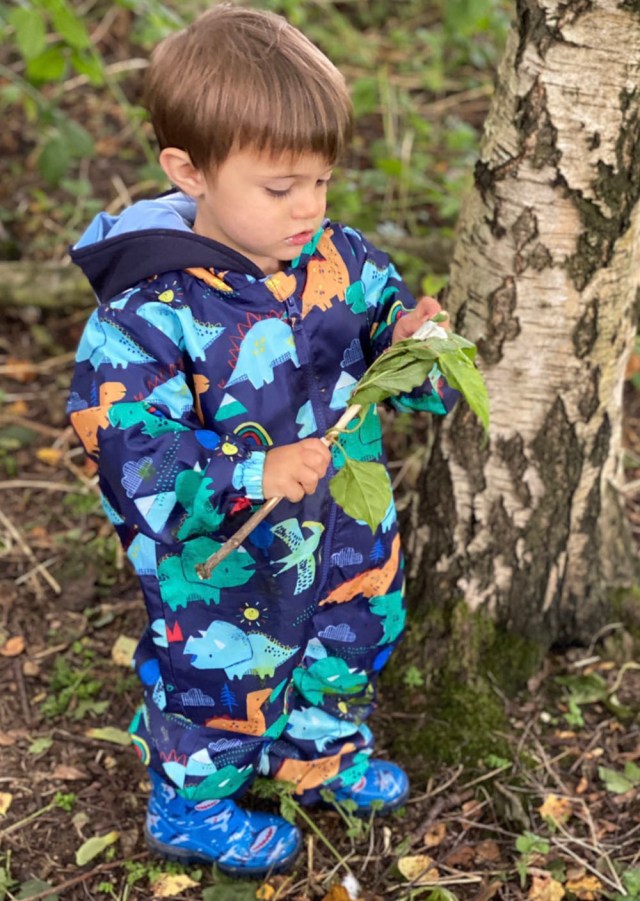 Forest School fun and activities – check out what we have been up to ...