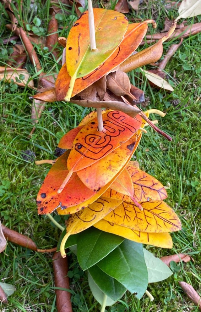 Forest School fun and activities – check out what we have been up to ...